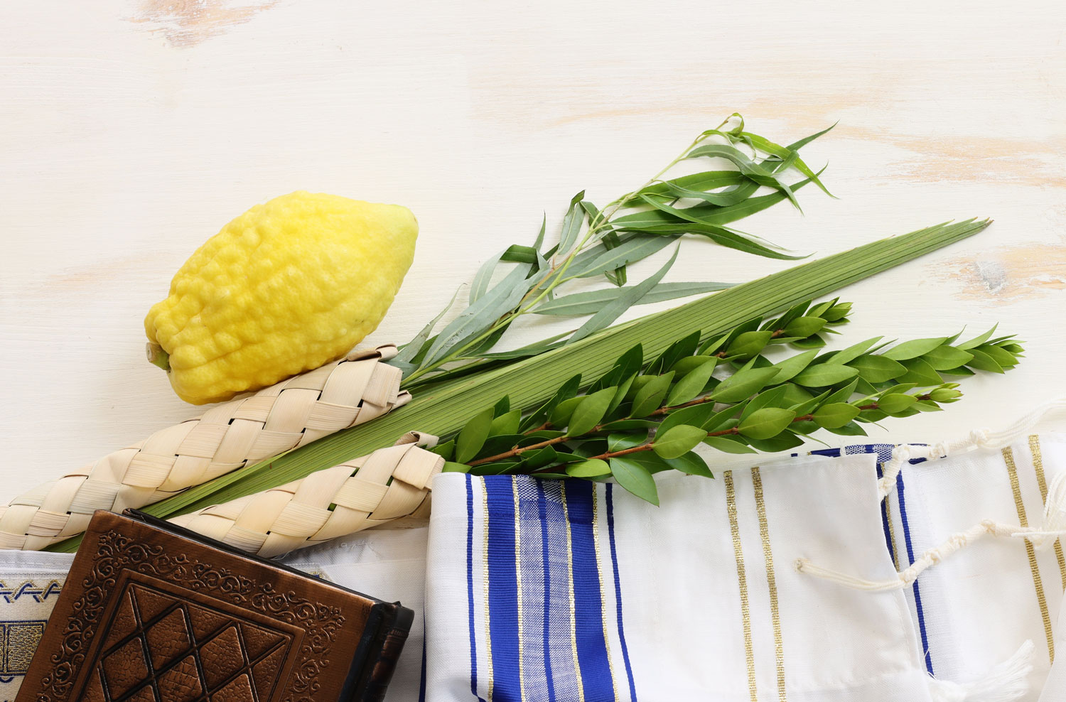 Sukkot, Shemini Atzeret, Simchat Torah 2023 • Chabad of Tenerife Spain
